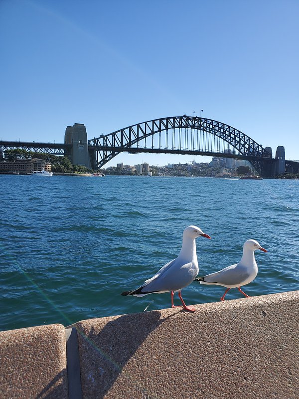 Sydney Australia In the Winter | Itinsy